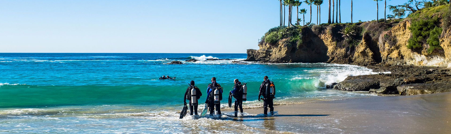 My Diving Academy – My Diving Academy, centre de plongée PADI et FFESSM ...